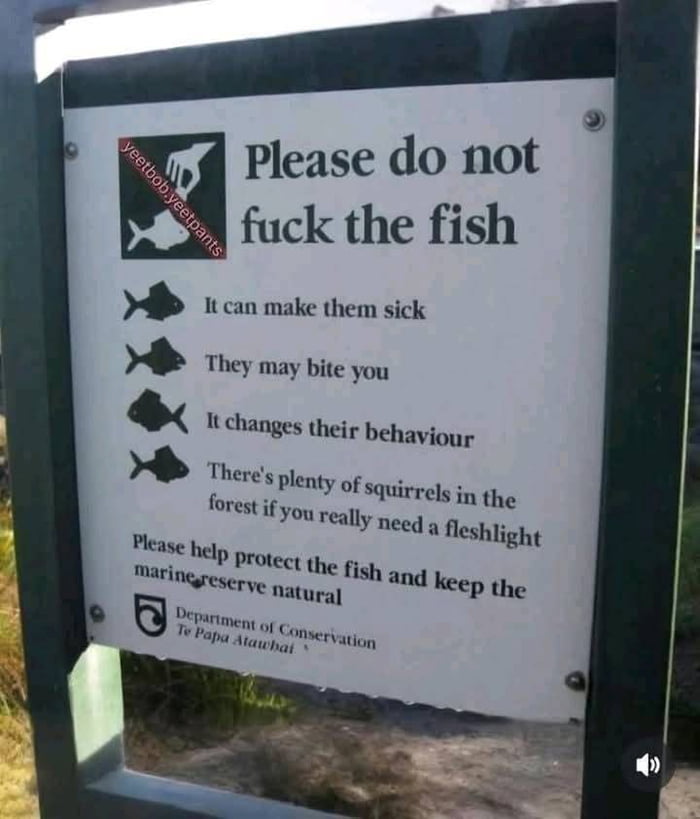 NO FISH F**K ALLOWED - 9GAG