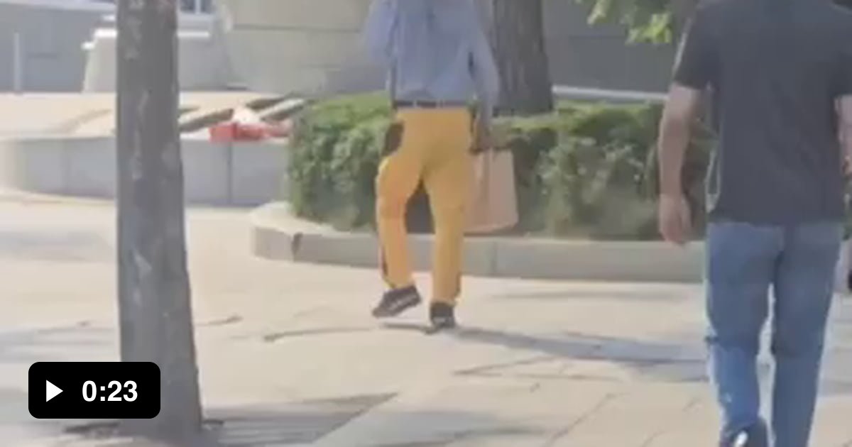 Saw a gentleman walking with his cat on his shoulder lol (in Seoul, S. Korea) - 9GAG
