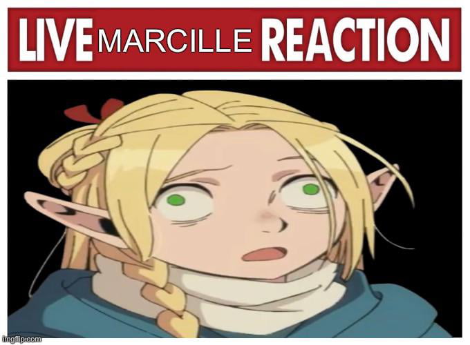 Marcille.exe has stopped working - 9GAG