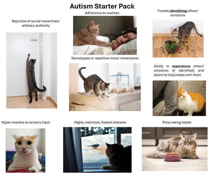 Autism Starter Pack - 9GAG
