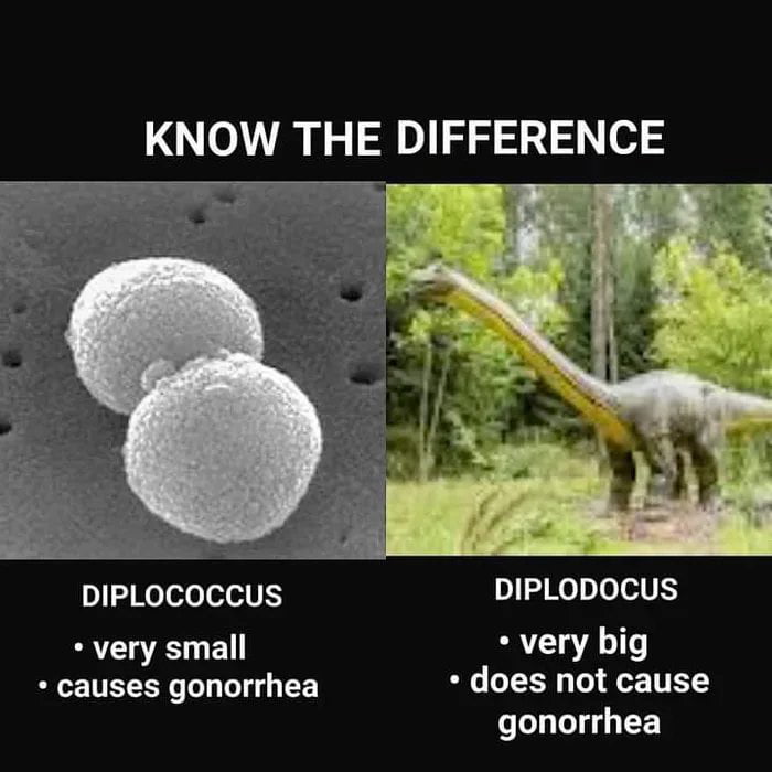 Know the difference - 9GAG