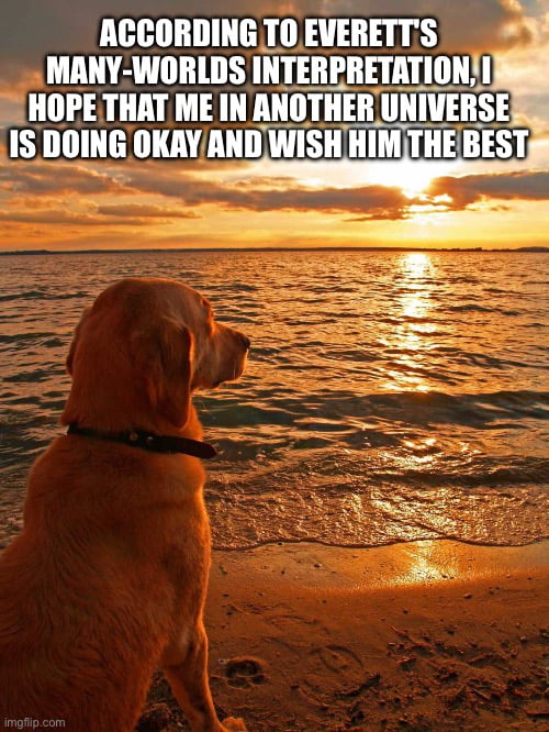Everett many worlds interpretation meme - 9GAG