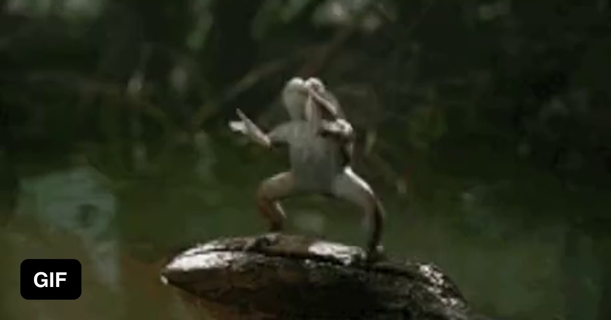 Traditional frog - 9GAG