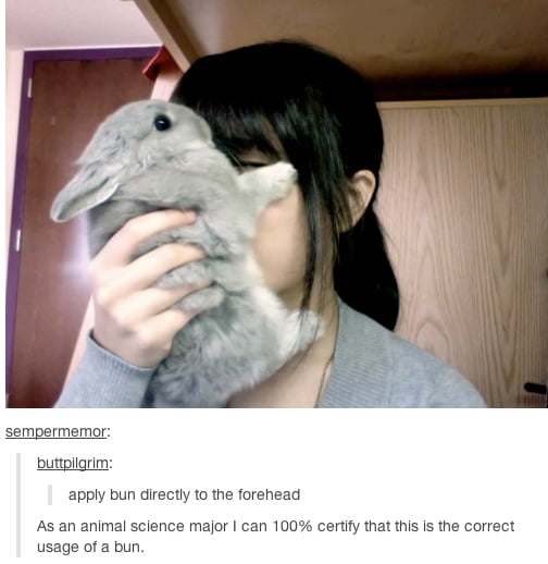 How to use a bunny - 9GAG