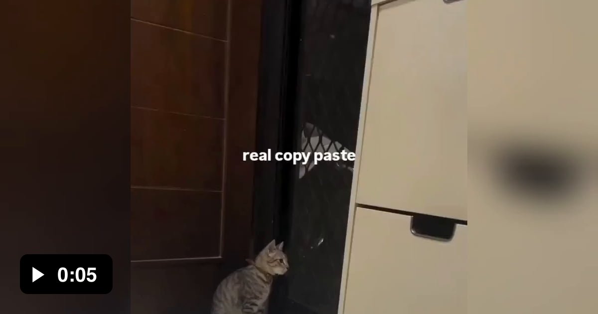 Copycat - 9GAG
