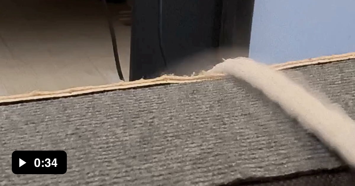 For Rogum A Cat Match Puzzle - Petra keeps moving, keeps learning ...