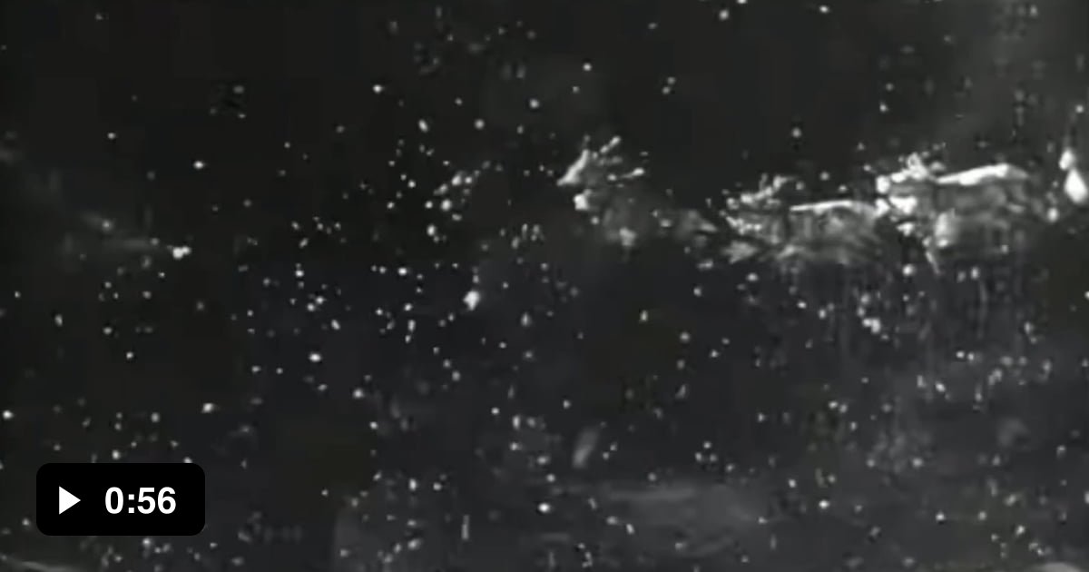 The carols of my childhood Volume 5 - 9GAG