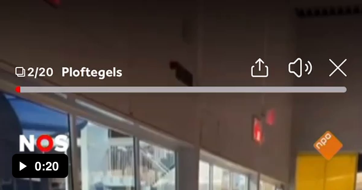 Laid the tile floor at the pool, boss - 9GAG