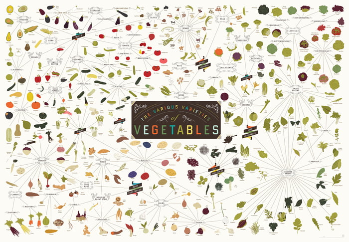 The Various Varieties of Vegetables - 9GAG