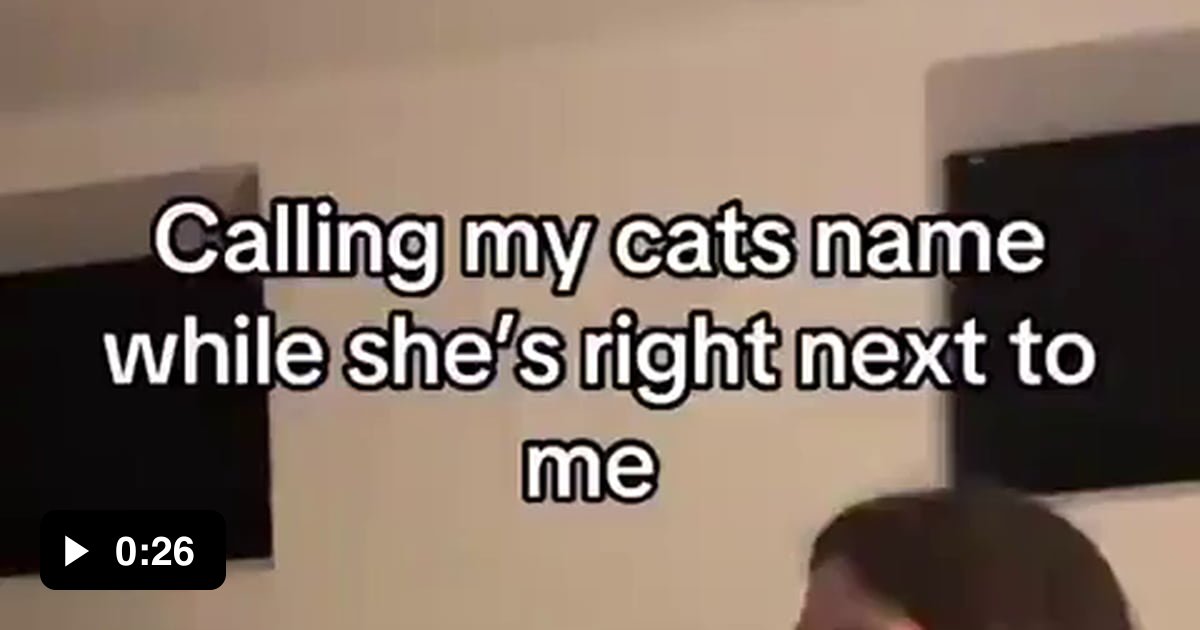 What a smart cat - 9GAG