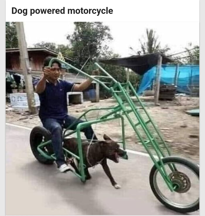 It's got exactly 1 dog power - 9GAG