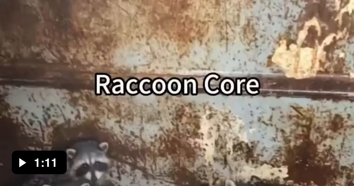 Raccoon core - 9GAG