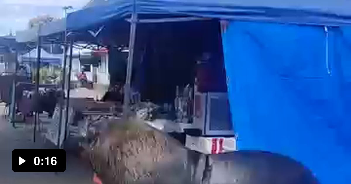 When the boss arrives for inspection - 9GAG