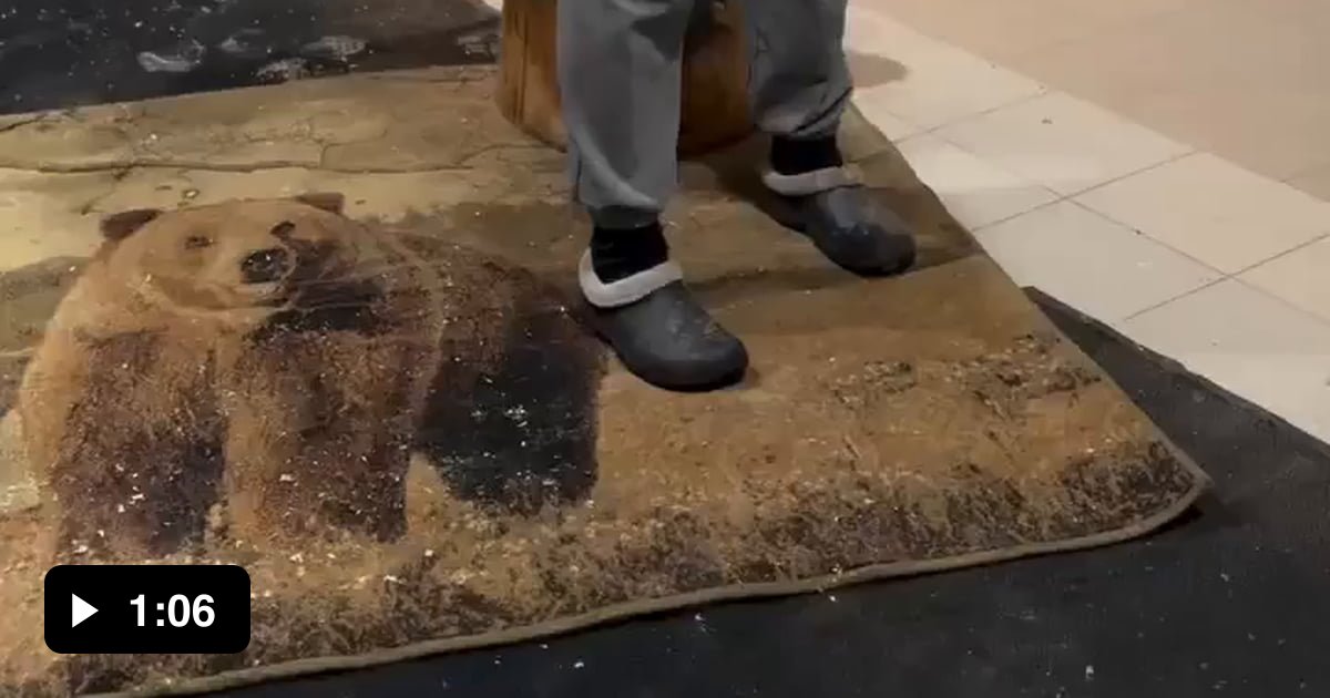 Spoon Feeding A Bear - 9GAG