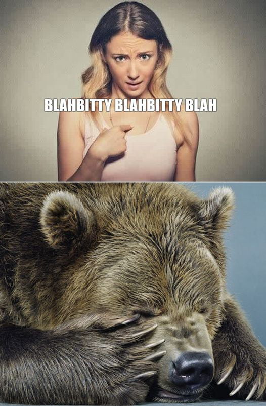 Poor bear - 9GAG