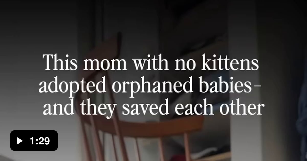 Damn ninjas... - 9GAG