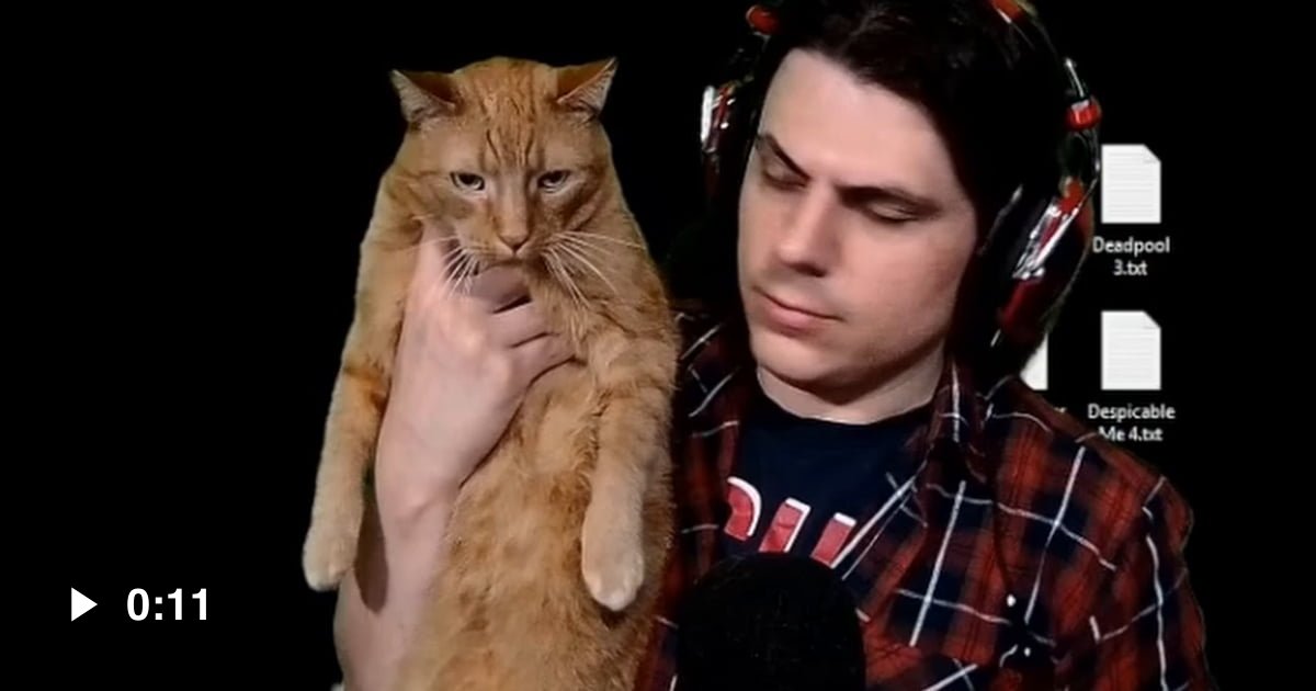 Bigus Catus: Chonk Cat’s Lap Throne - 9GAG