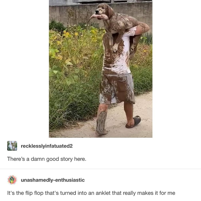 Just a person and their muddy dog, living their best life - 9GAG