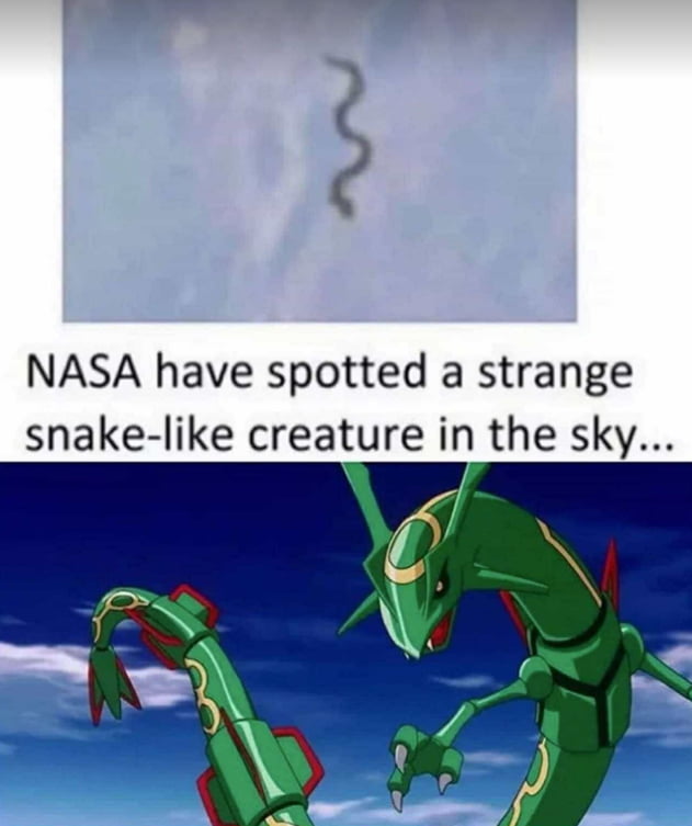 OMG! Beware of that snake - 9GAG