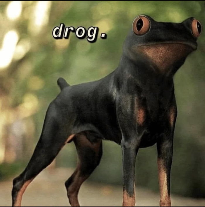 Don't the drog my dude. - 9GAG