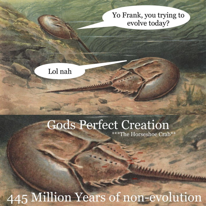 Evolution - 9GAG
