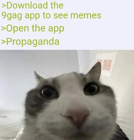 Wholesome content - 9GAG