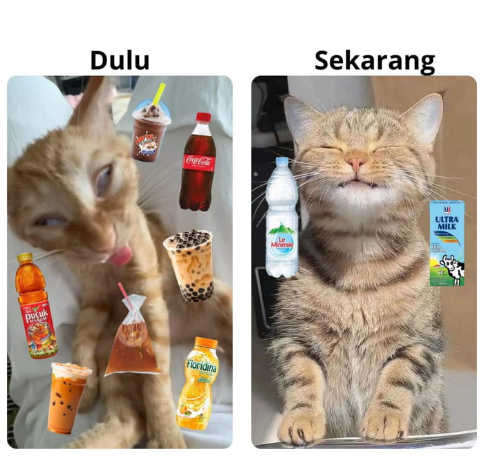 Slagi masih sempat, belajar hidup sehat - 9GAG