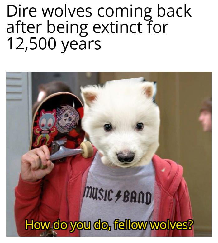 Furries rejoice - 9GAG