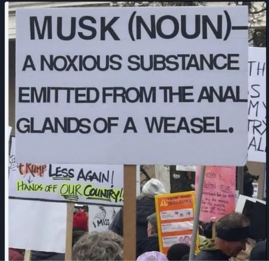 Weasel poo - 9GAG