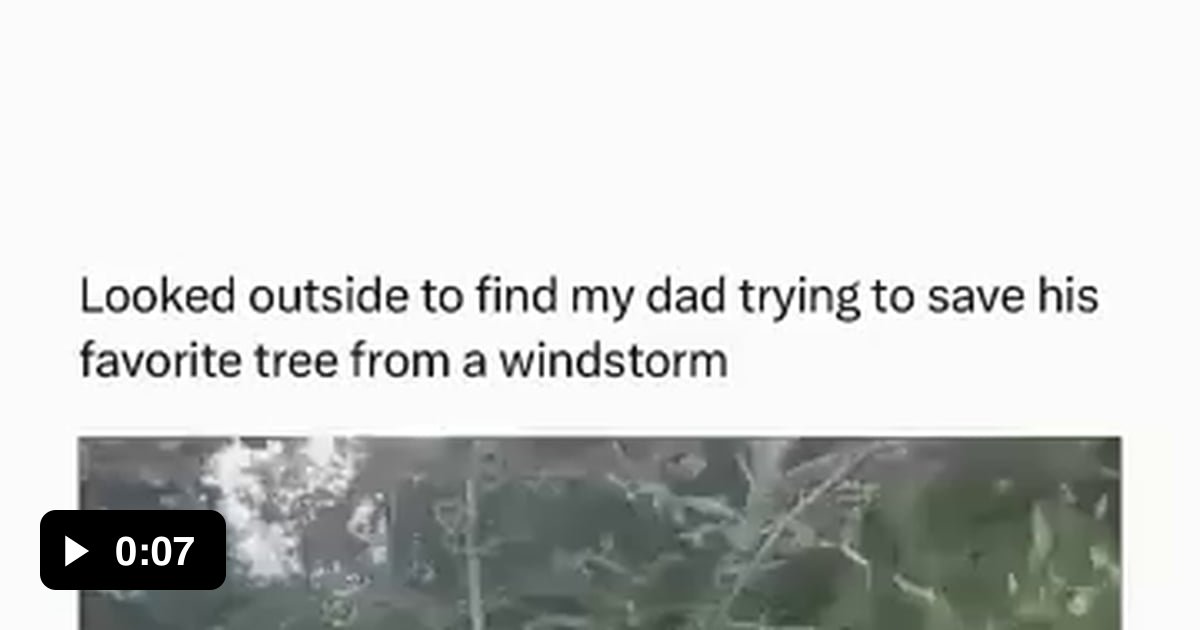 Dad saving his favorite tree from falling down during a storm - 9GAG