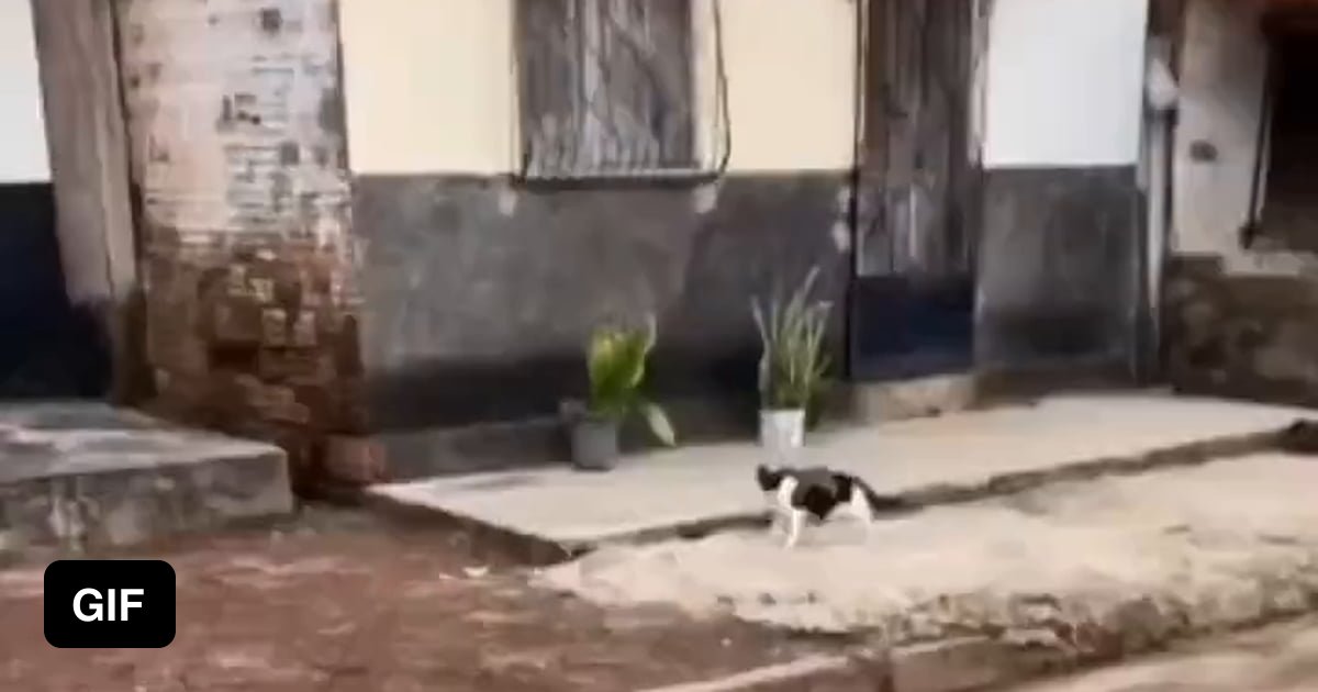 Friends 9gag