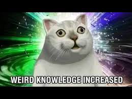 I want to increase my weird knowledge. Do you have any you could share? - 9GAG