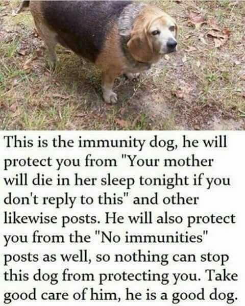 I never really thanked immunity dog for keeping me and my family safe ...