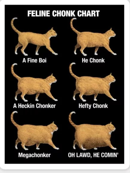 How chonky are you? (I'm a heckin' chonker, but also mega-longboi ...