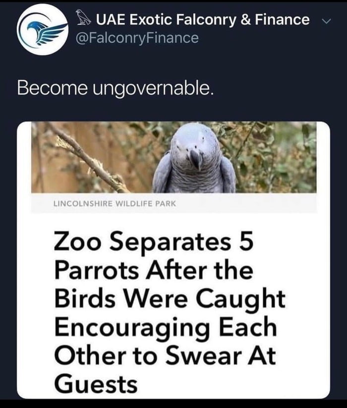 Wack parrot bros - 9GAG