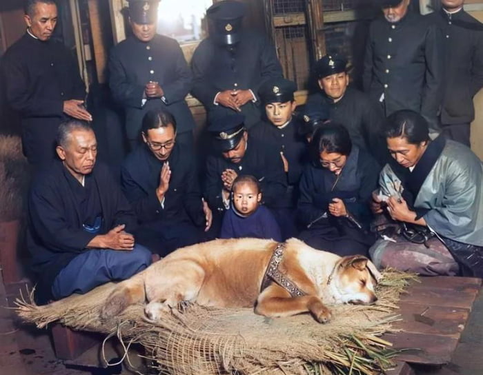 Last picture of Hachiko, the faithful dog who waited for over 9 years ...