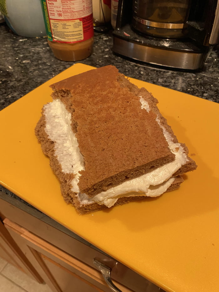 Tried to make a rolled cake. It did not roll. - 9GAG