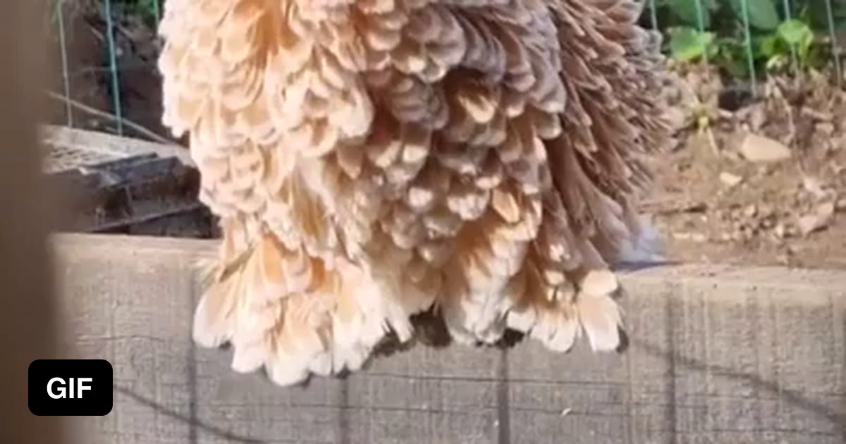 Freaking amazing - 9GAG