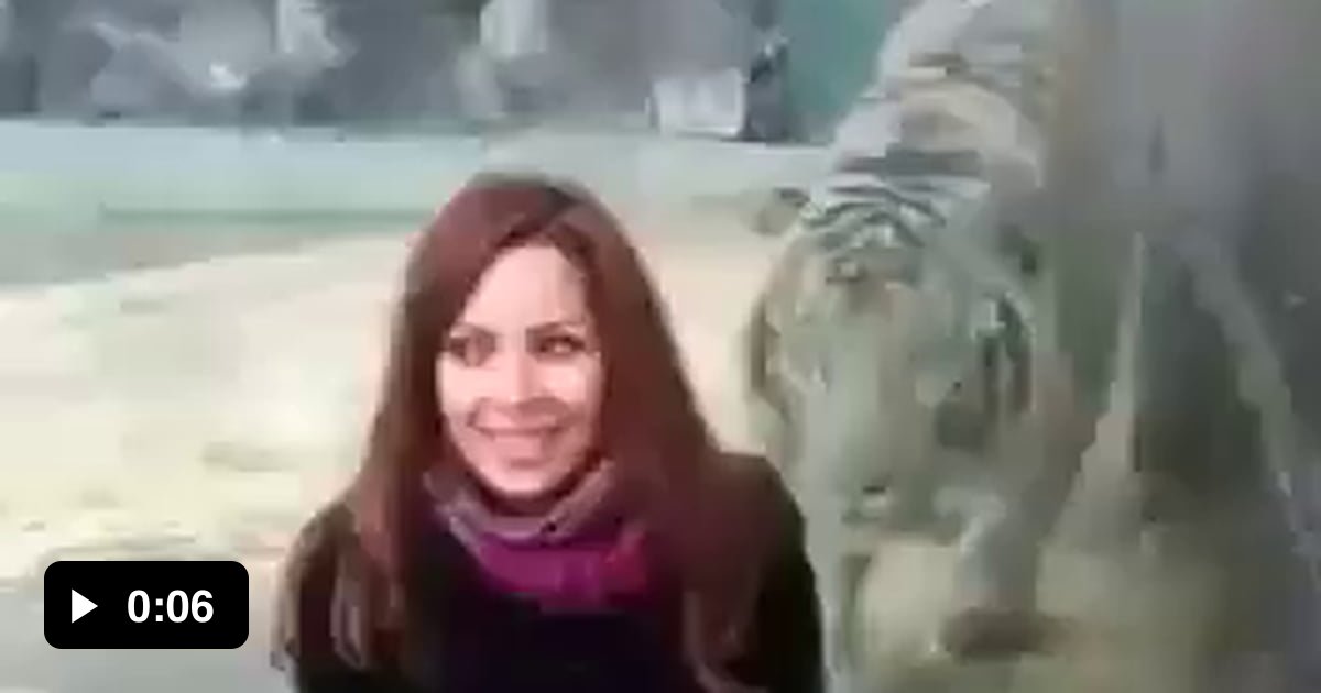 Suprise Tiger - 9GAG