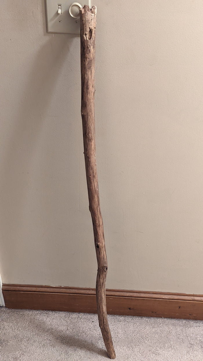 We still stickposting? Took this guy home 20 years ago. - 9GAG