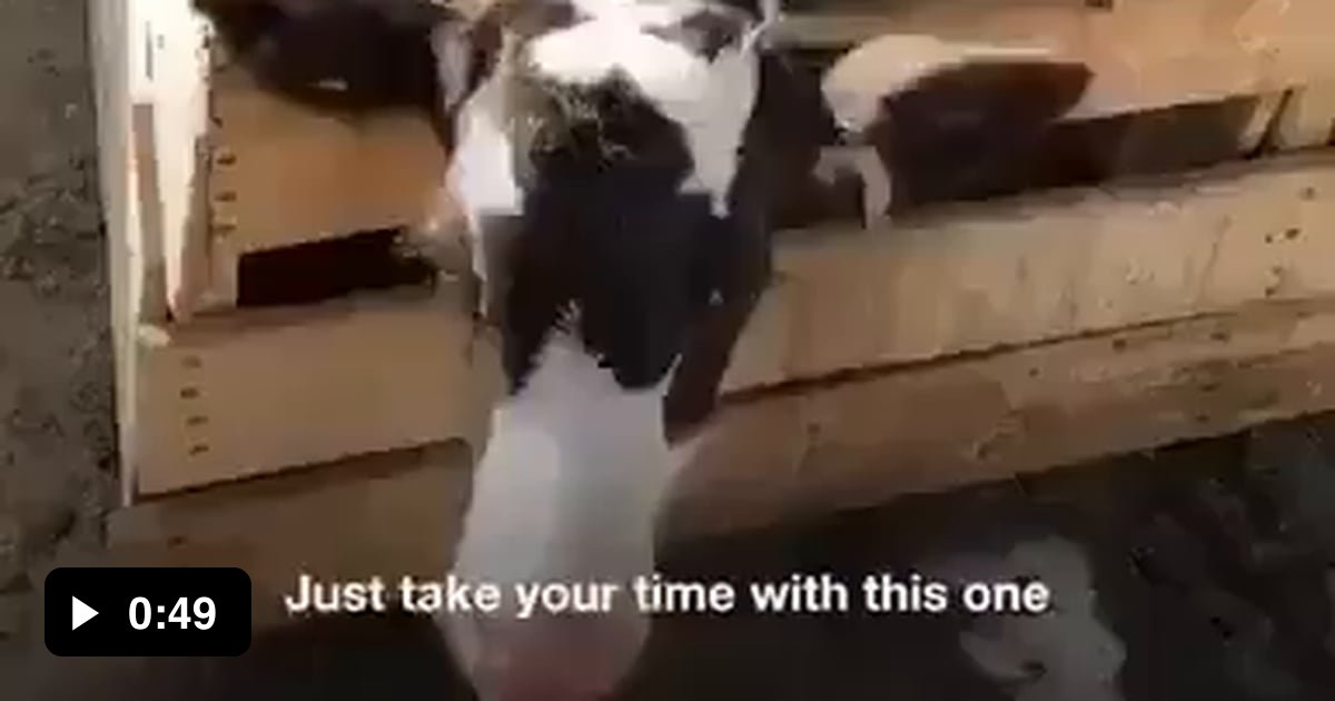 Let's prove them wrong - 9GAG