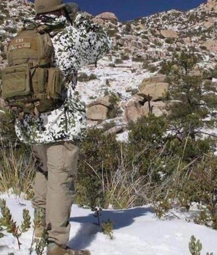Incredible camouflage - 9GAG