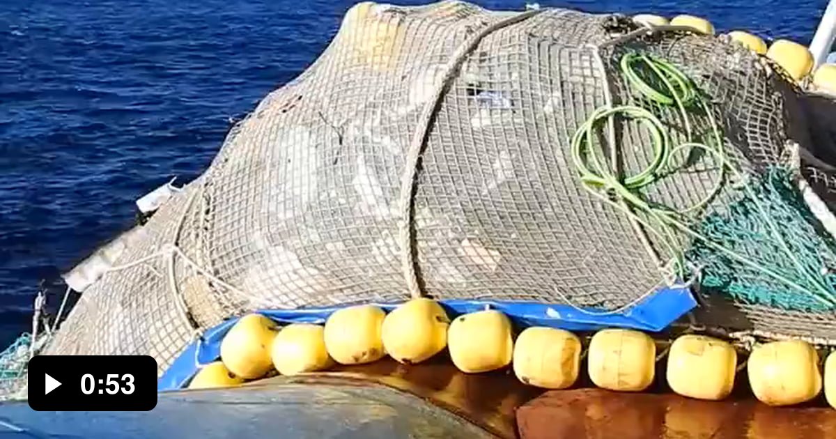 100,000 KG of plastic garbage removed from the Pacific Ocean - 9GAG