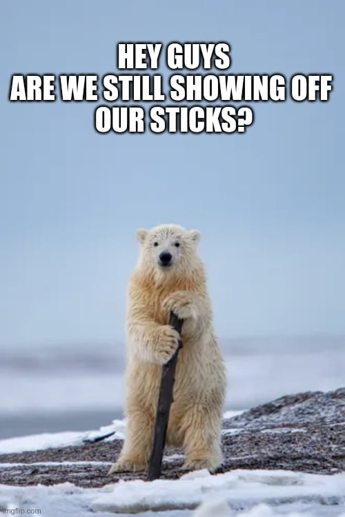Dang that's a nice stick - 9GAG