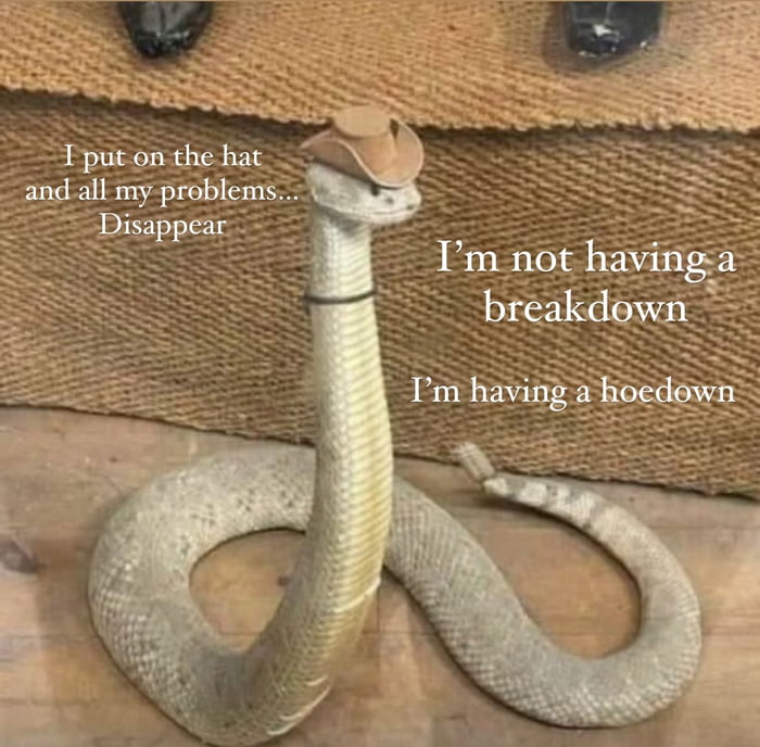 Friday feels snake - 9GAG