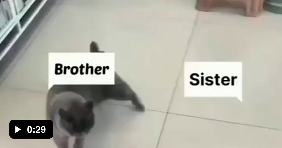 When brother and sister quarrel.😅 - 9GAG