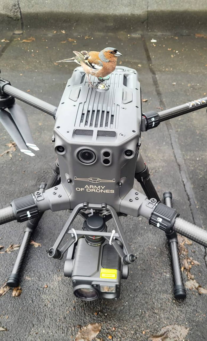 Does anyone know what kind of bird that is? - 9GAG