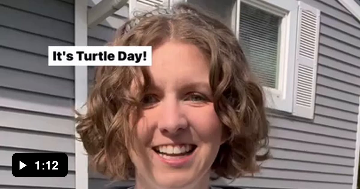 Box turtles hibernate deep in the ground - 9GAG