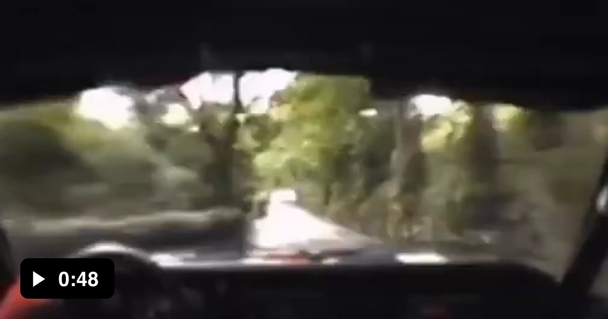 The focus required as a rally driver - 9GAG