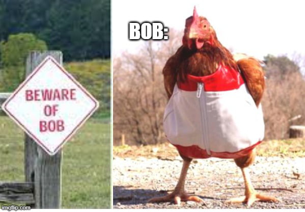 Beware of the Bob - 9GAG